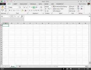 Spreadsheets – E 115: Introduction to Computing Environments