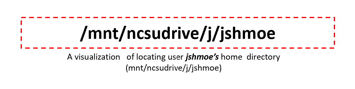NFS File Tree – E 115: Introduction to Computing Environments
